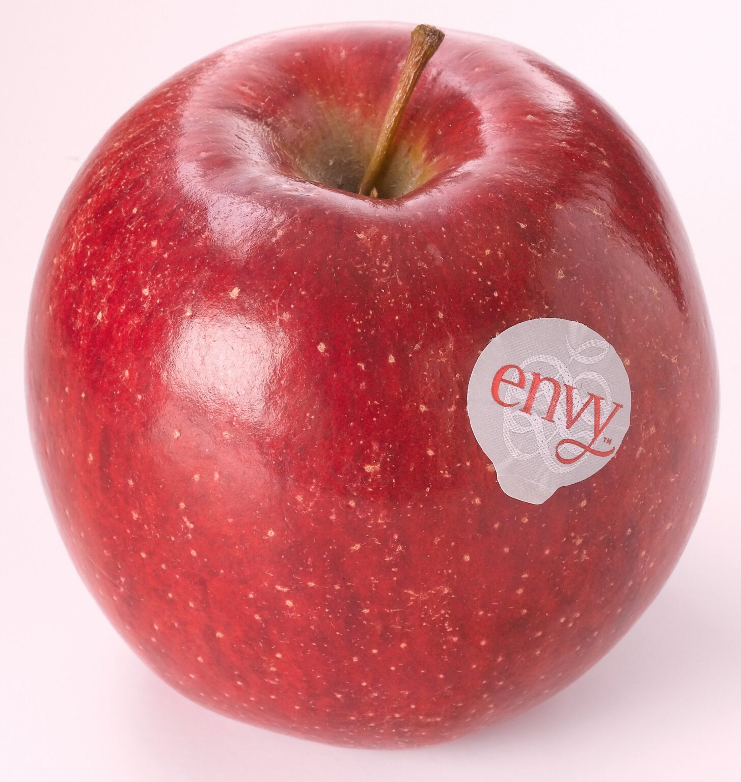 Our News - Envy gets Big Apple props - Oppy
