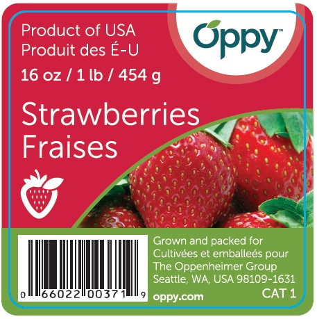 Our News - Oppy California strawberries debut! - Oppy