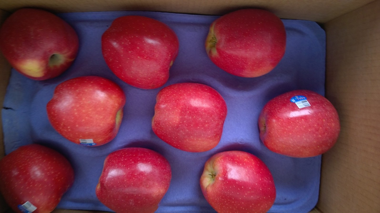 Our News - The rosiest apple of all - Oppy