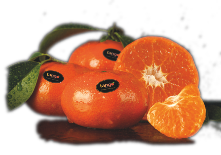 Our News - Tango Mandarin dances on taste buds - Oppy