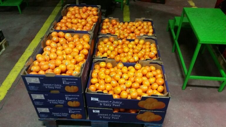 Our News - Orange you glad Orri mandarins are almost here? - Oppy