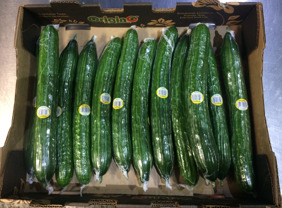 Our News - OriginO organic cukes make season debut - Oppy