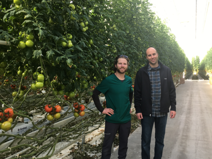 Our News - Day in the life… of Oppy Greenhouse Category Manager & BDR ...