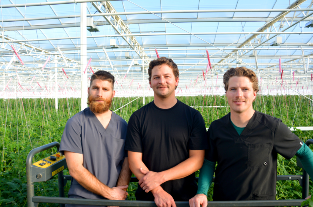 Our News - Frank & Able’s winter TOV crop set to double - Oppy