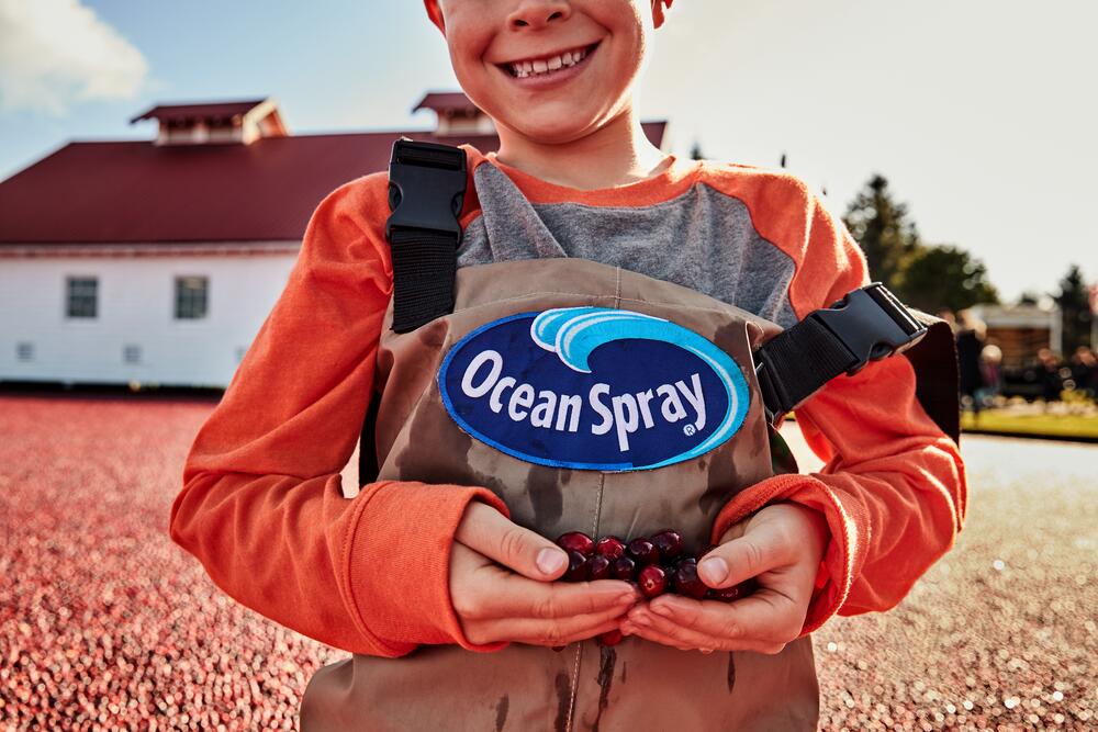 Our News - Ocean Spray Cranberries adds holiday sparkle from Oppy - Oppy