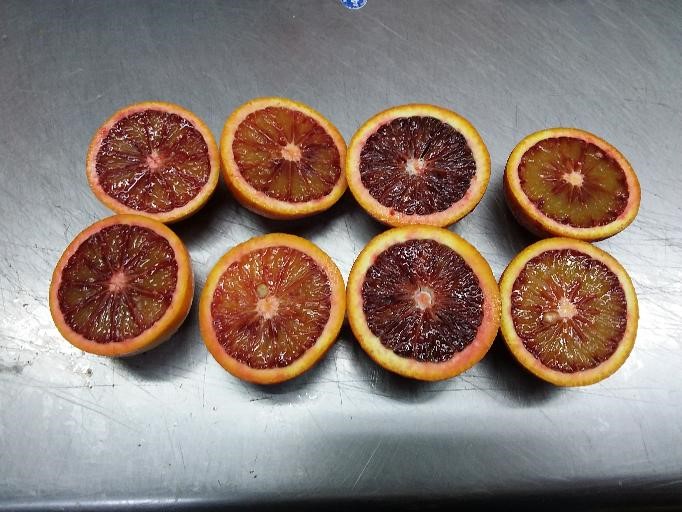 Our News - Out for blood oranges - Oppy