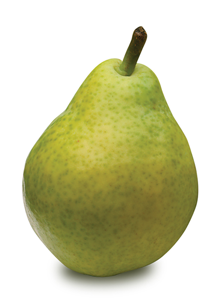 Our News - Beautiful Bartlett pears - Oppy
