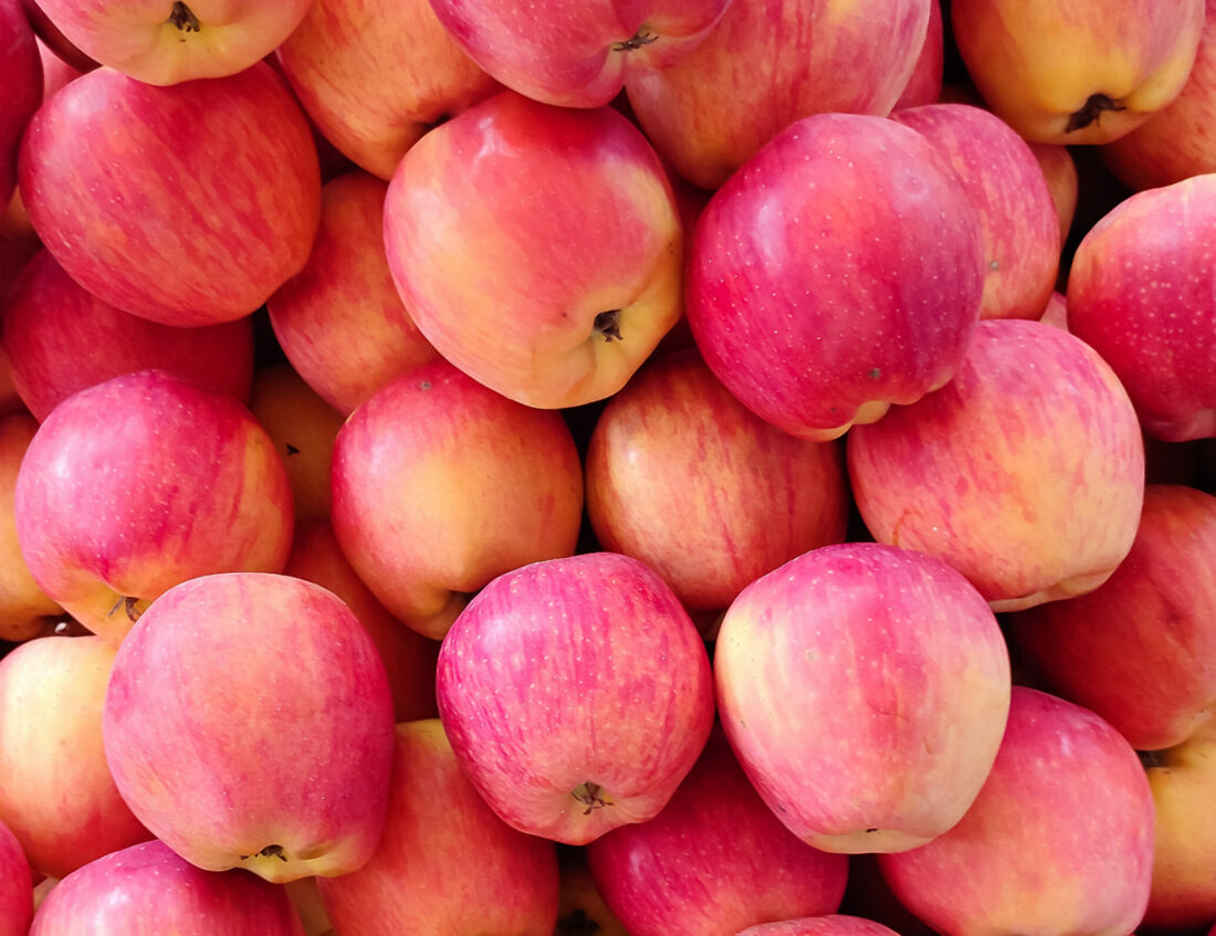 Pink Lady®/Cripps Pink - Oppy