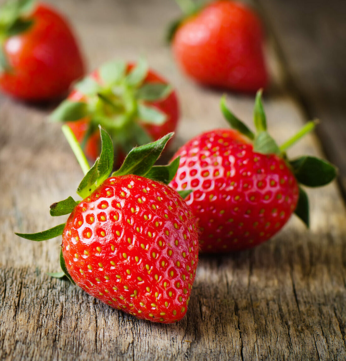 Our News - Groundbreaking Berry Concept Sets the Table for Category ...