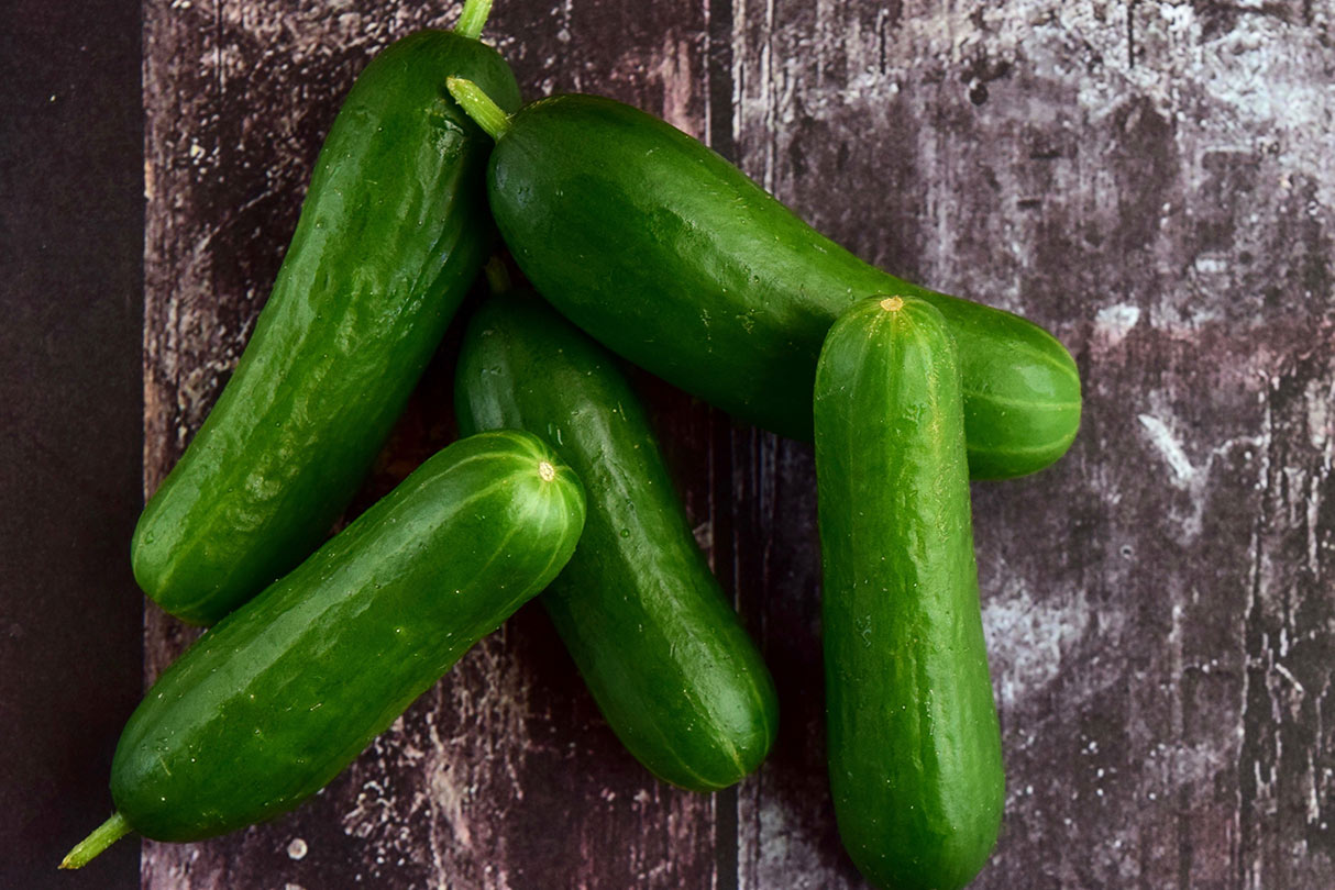 Mini cucumbers - Oppy