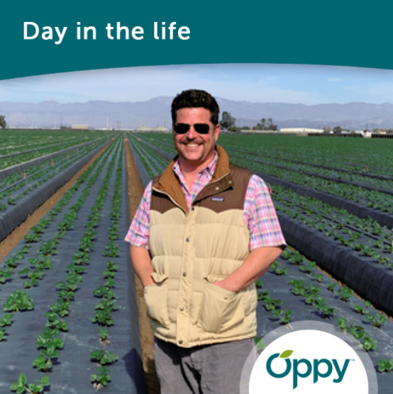 Our News - Day in the life of… Category Director of Berries Dean Barbis ...