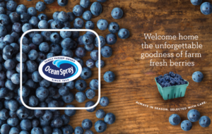 Our News - Oppy further secures year-round blueberry program with new ...