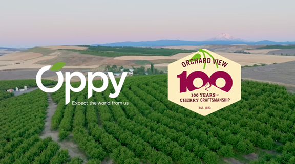 Our News - Orchard View celebrates a cherry century - Oppy