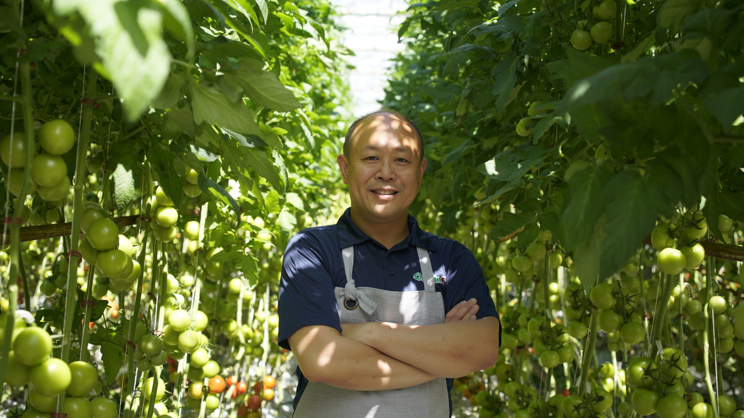 Our News - Oppy unveils OriginO website redesign amid fresh season - Oppy