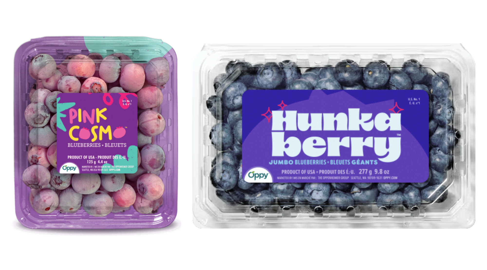 Our News - Oppy and G&M Farms unveil proprietary jumbo and pink blueberry varieties - Oppy